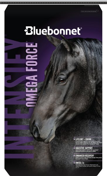 BLUEBONNET FEEDS Intensify Omega Force High Protein, Low Starch Horse ...
