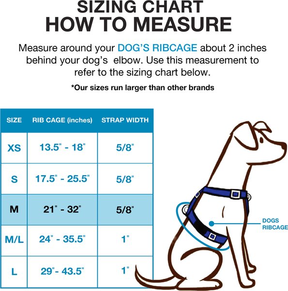 BLUE-9 Pet Products Buckle-Neck Balance Dog Harness, Sky Blue, Medium ...