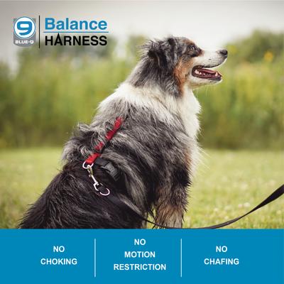 BLUE-9 Pet Products Buckle-Neck Balance Dog Harness, Sky Blue, X-Small ...