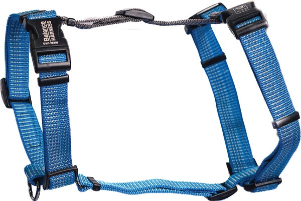 BLUE-9 Pet Products Reflective Buckle-Neck Balance Dog Harness, Blue ...