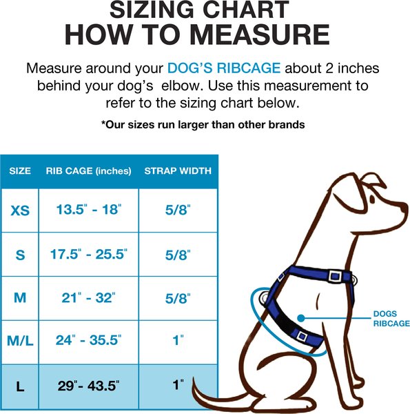 BLUE-9 Pet Products Buckle-Neck Balance Dog Harness, Blue, Large: 29 to ...