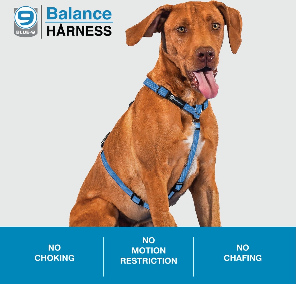 BLUE-9 Pet Products Reflective Buckle-Neck Balance Dog Harness, Blue ...