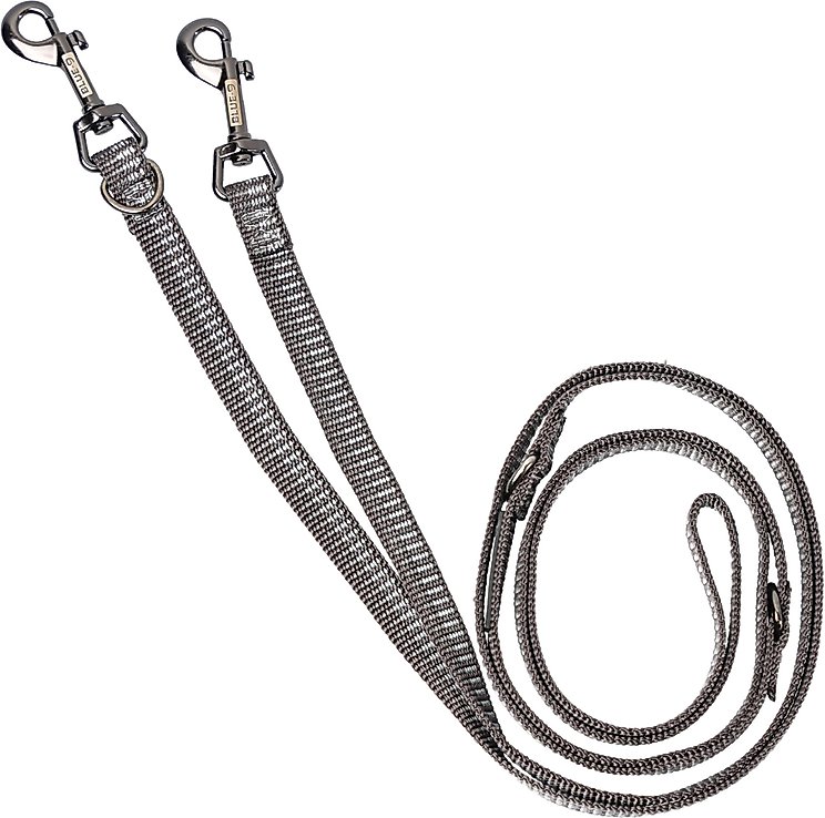 Double Handle Dog Leashes (Free Shipping) | Chewy