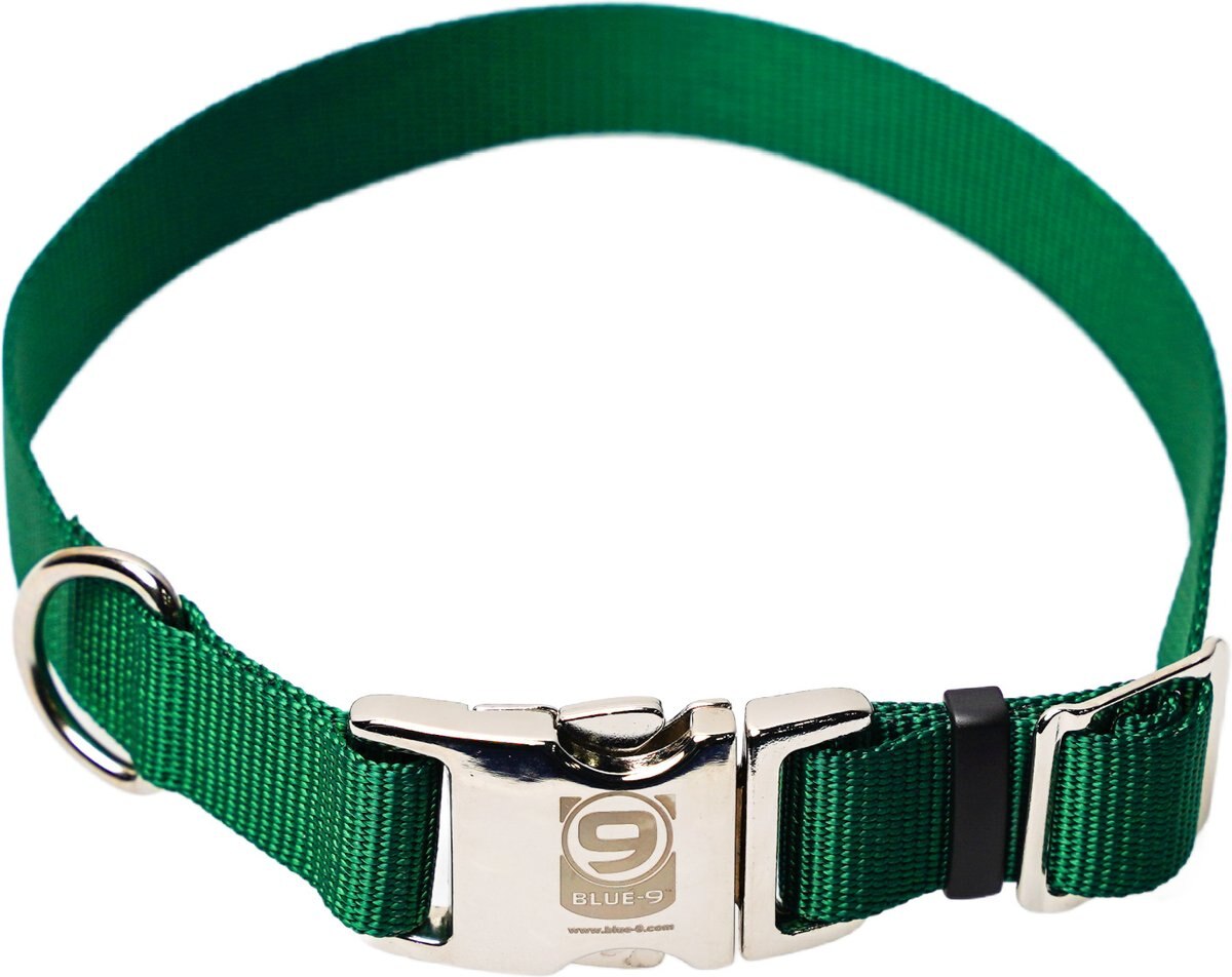 BLUE-9 Pet Products Secure Pro Dog Collar, Hunter Green, Small: 9 to 14 ...