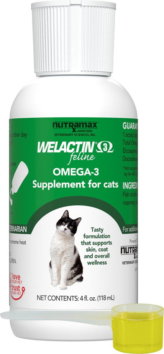 NUTRAMAX Welactin Omega-3 Fish Oil Liquid Skin & Coat Supplement for ...