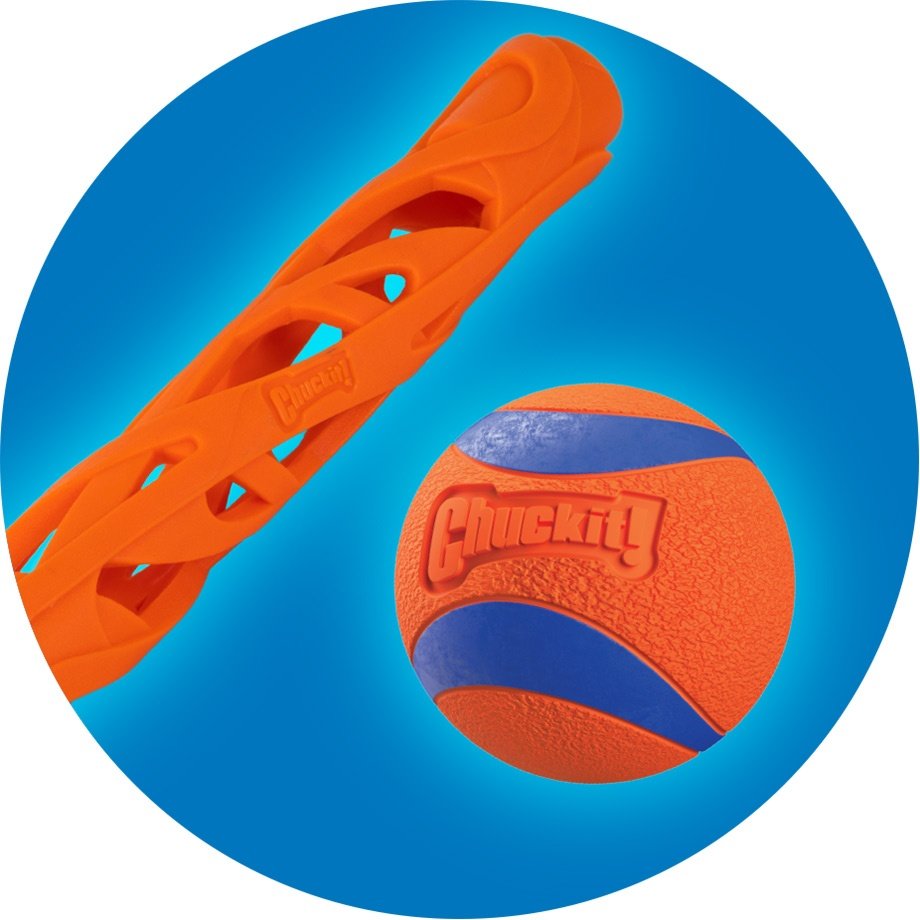 Chuckit! Dog Toys - Deals & Low Prices, Free Shipping
