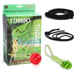 JOLLY PETS Tree Tugger Rope Tug Dog Toy - Chewy.com