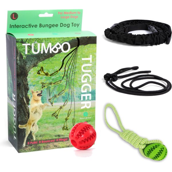 JOLLY PETS Tree Tugger Rope Tug Dog Toy - Chewy.com