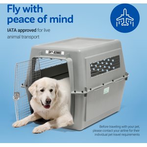 10 Best Dog Kennels 2025: According to Reviews | Chewy