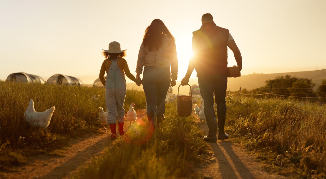 MANNA PRO Duck Layer Pellets Duck Food, 25-lb bag - Chewy.com