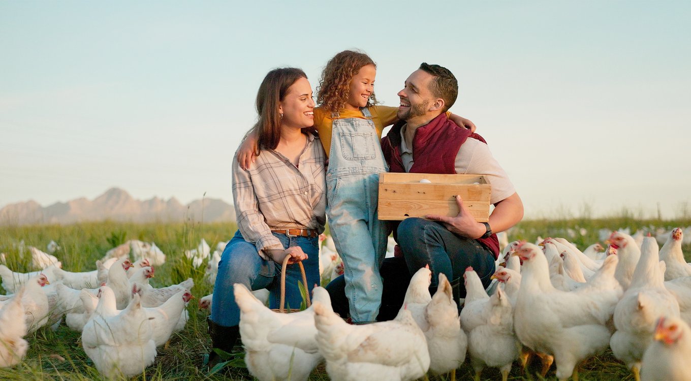 MANNA PRO Duck Layer Pellets Duck Food, 25-lb bag - Chewy.com