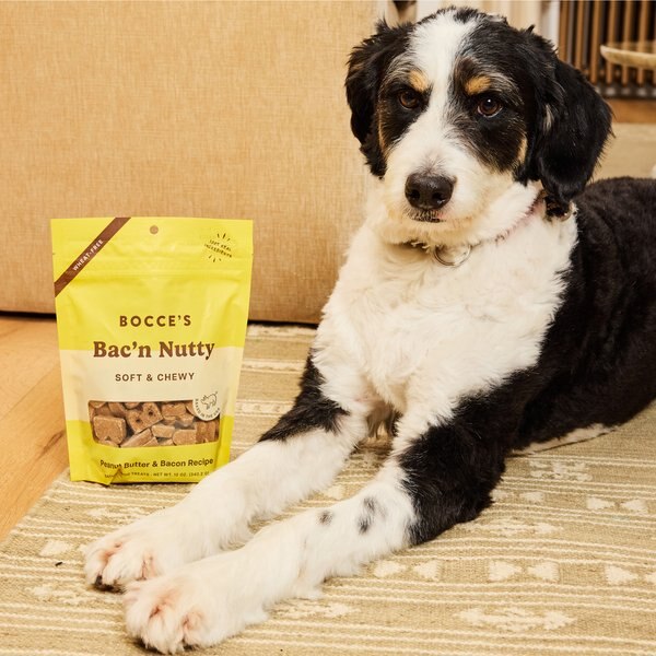 BOCCE'S BAKERY Bac'n Nutty PB & Bacon Recipe Soft & Chewy Dog Treats ...