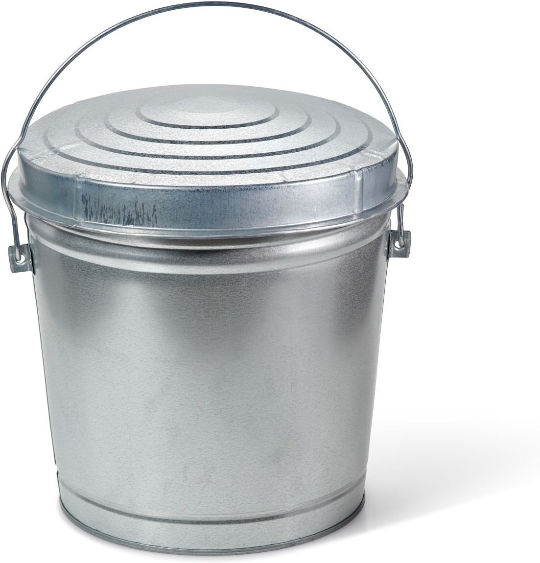 BEHRENS Galvanized Steel Locking-lid Pet Food Storage Container, 10-gal ...