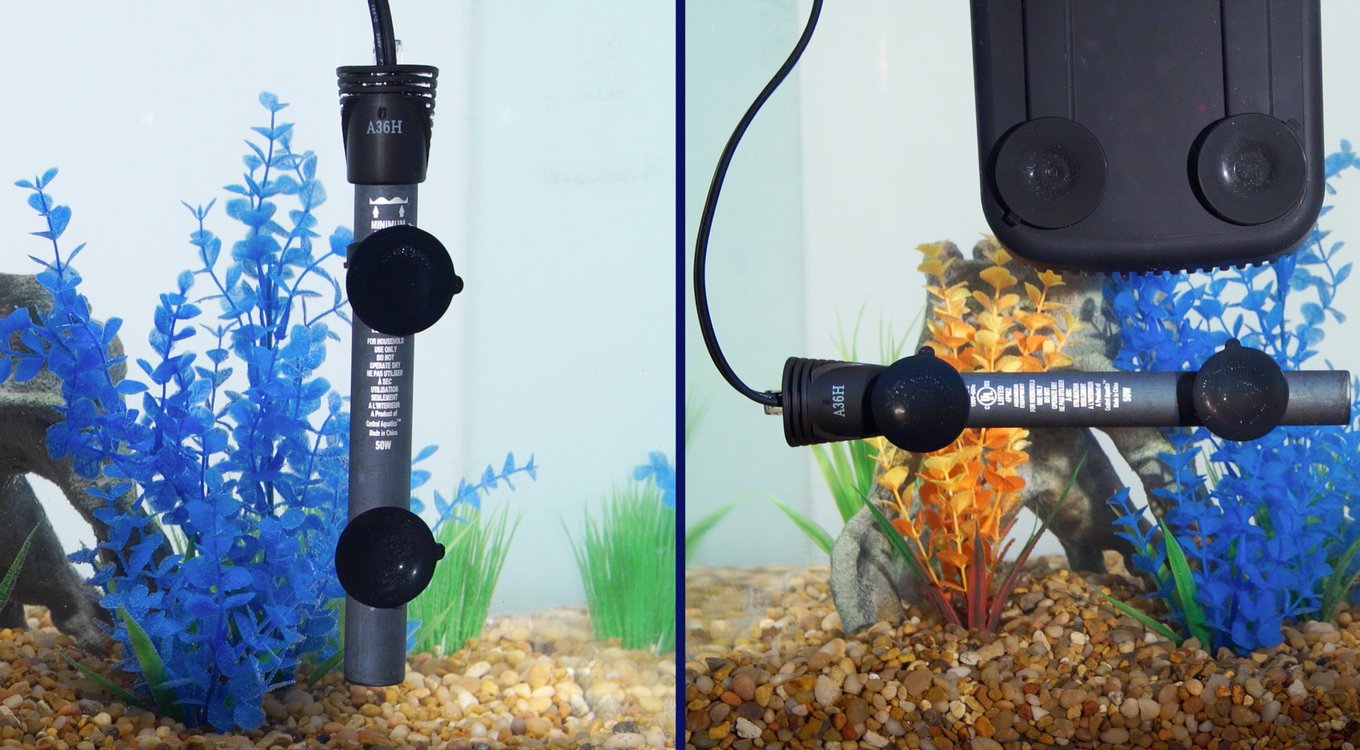 AQUEON Mini Aquarium Heater, 2-gal, 5 watt - Chewy.com