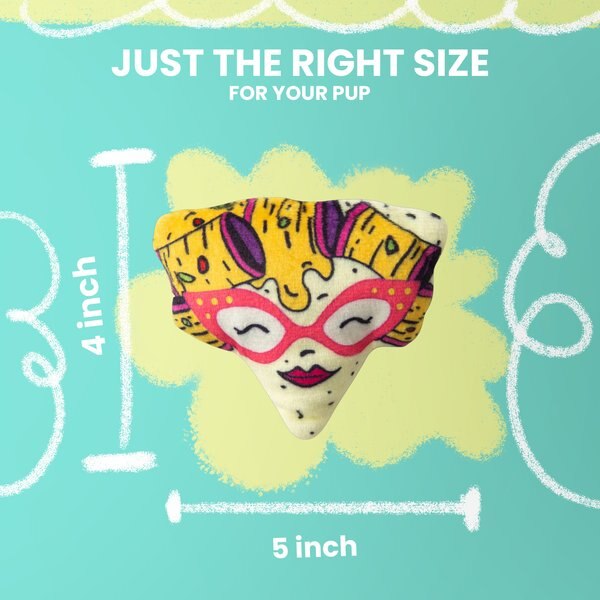 SNUGAROOZ Nacho Kitty Plush Cat Toy with Catnip - Chewy.com