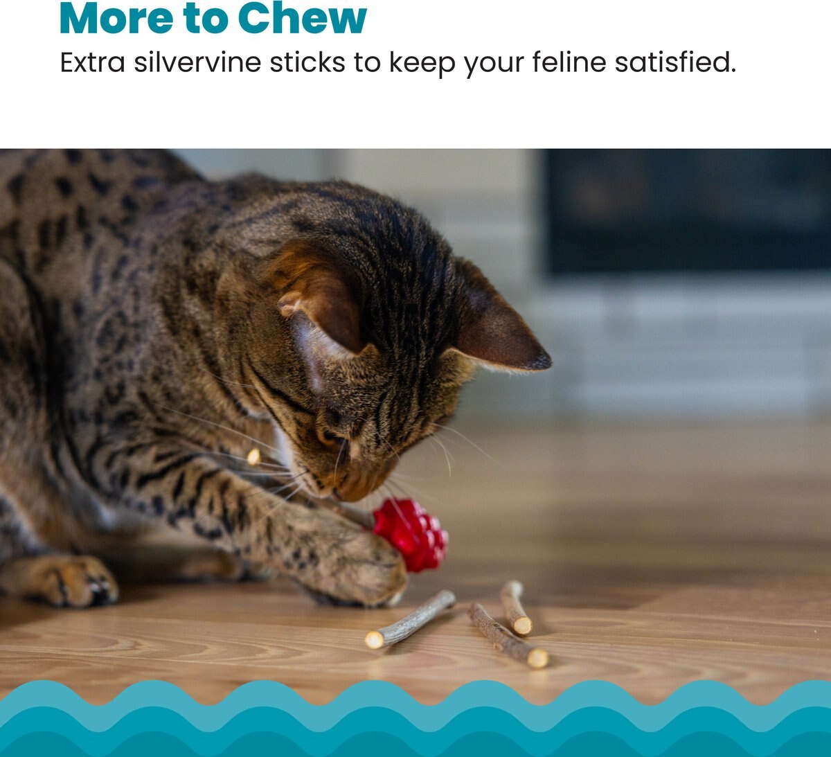 CATSTAGES Dental Raspberry Teether Cat & Kitten Plush Toy with ...