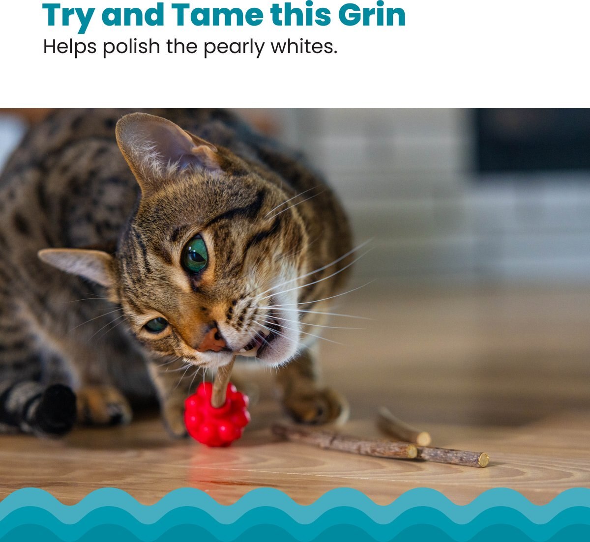 CATSTAGES Dental Raspberry Teether Cat & Kitten Plush Toy with ...