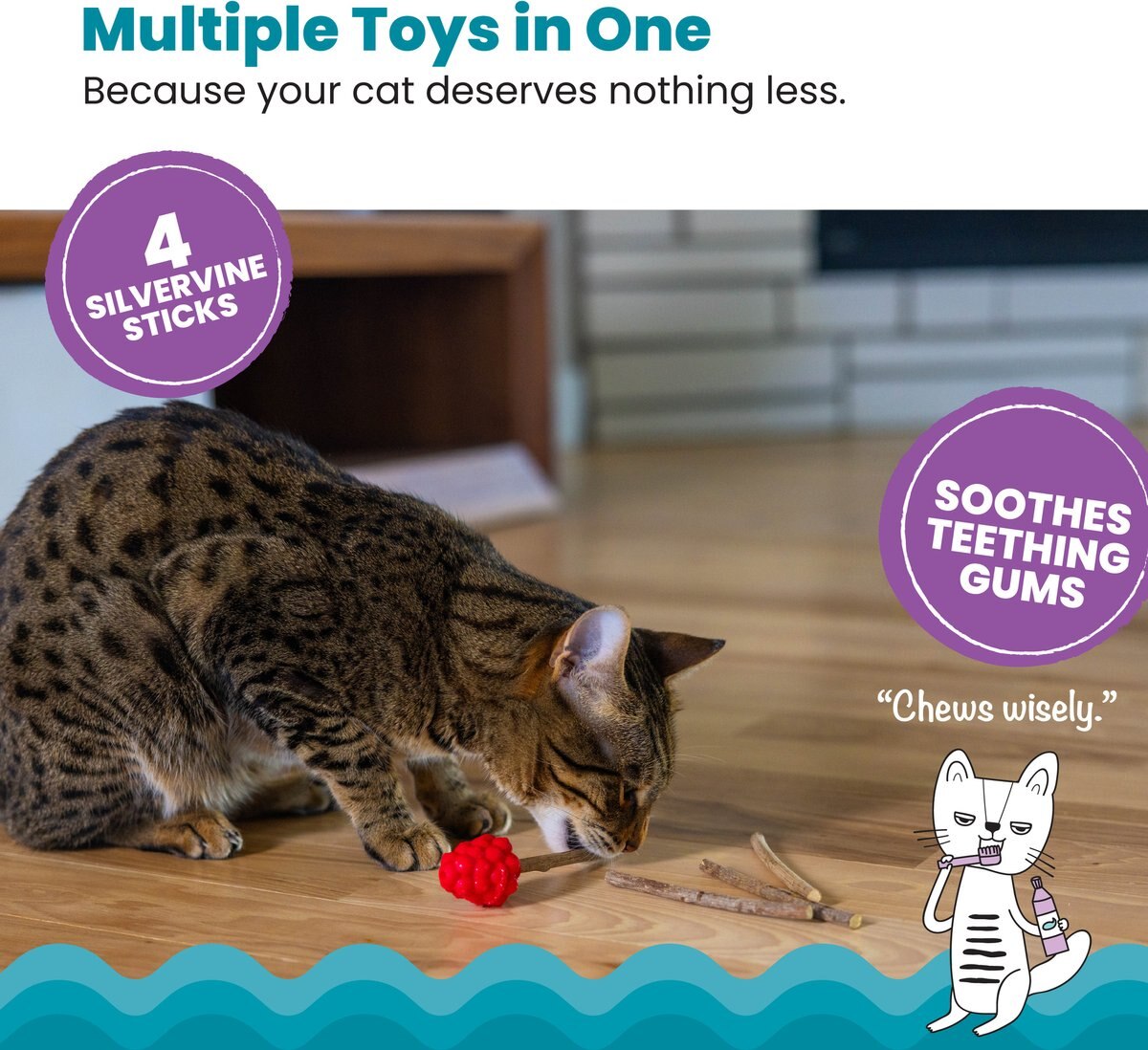 CATSTAGES Dental Raspberry Teether Cat & Kitten Plush Toy with ...