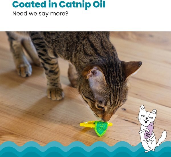 CATSTAGES Dental Lemon Teether Cat Plush Toy with Catnip Oil, Yellow ...