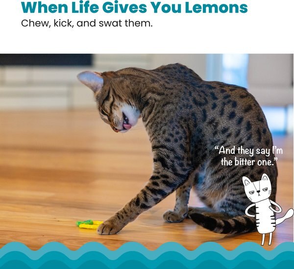 CATSTAGES Dental Lemon Teether Cat Plush Toy with Catnip Oil, Yellow ...