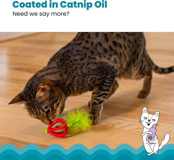 Out of Stock - CATSTAGES Dental Strawberry Teether Cat Plush Toy with ...