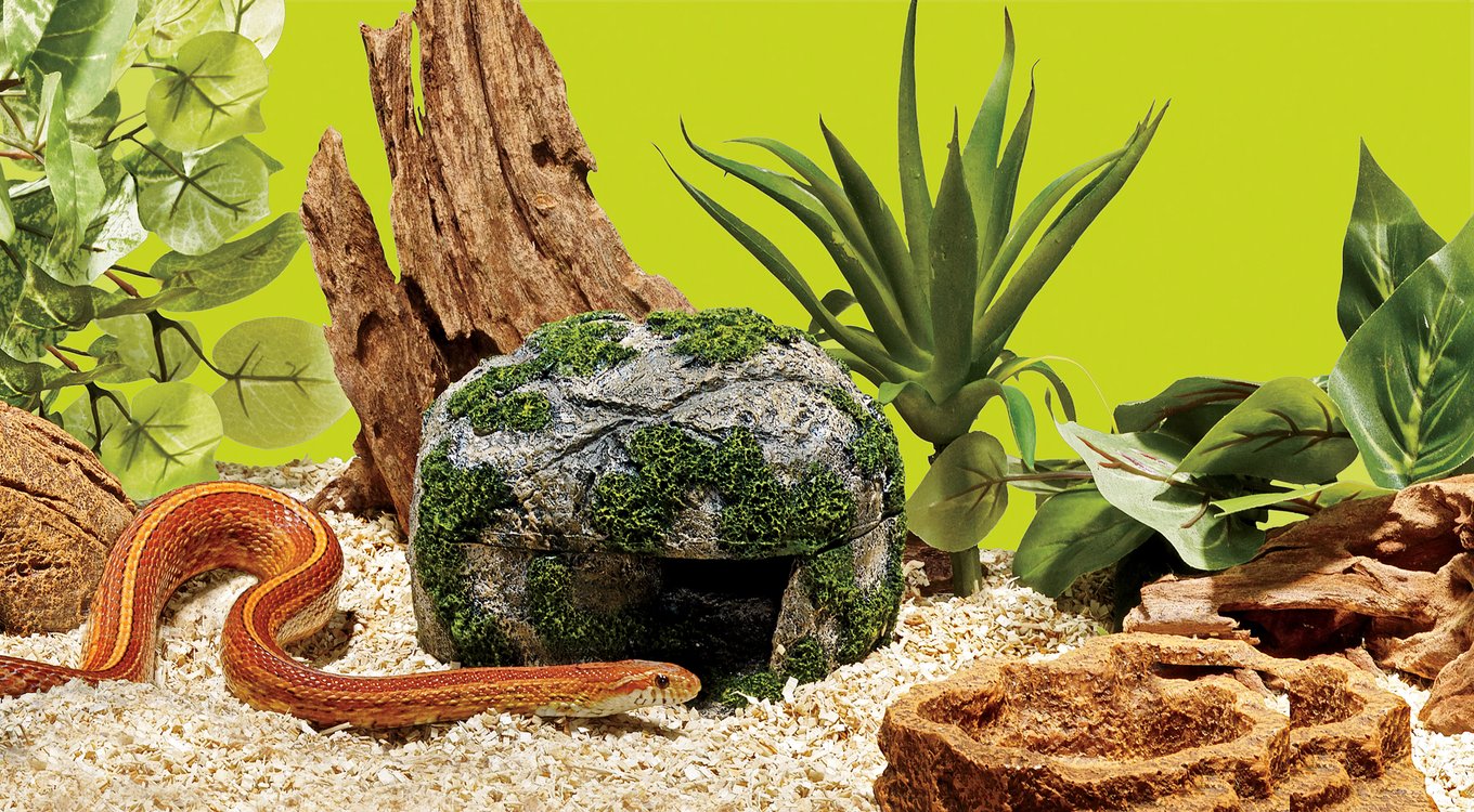 ZILLA Ground English Walnut Shell Reptile Bedding, 5-qt bag - Chewy.com