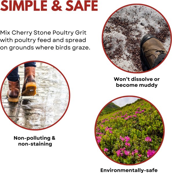 Out of Stock - CHERRY STONE Type 1 Poultry Grit Chicken Supplement, 50 ...