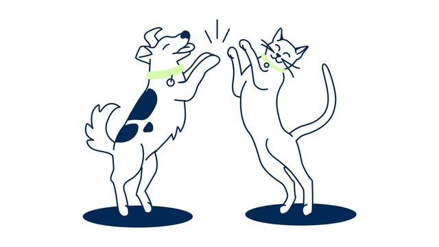 CarePlus Pet Insurance & Wellness | Chewy Health