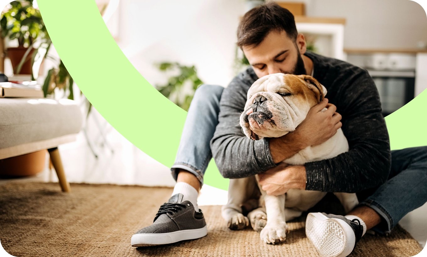 CarePlus Pet Insurance & Wellness | Chewy Health
