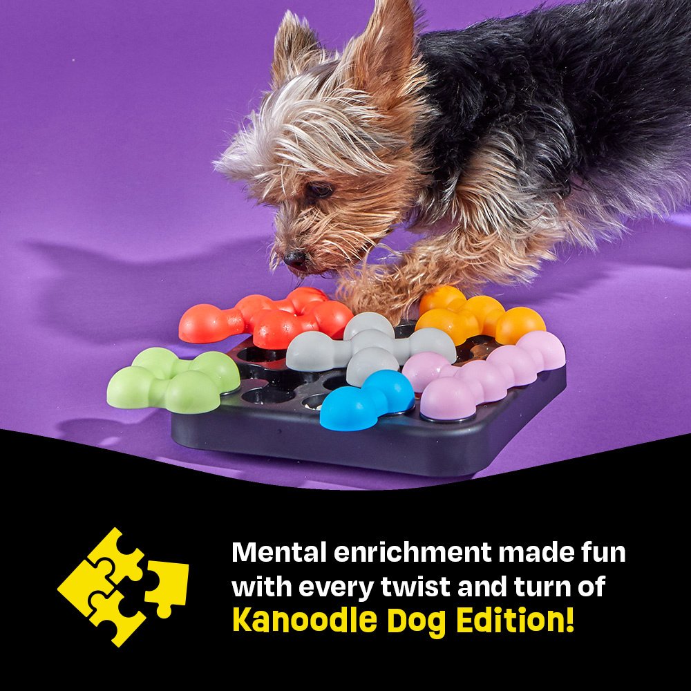 BRIGHTKINS Kanoodle Puzzle Dog Toy, Small - Chewy.com