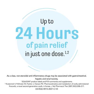EQUIOXX (Firocoxib) Tablets for Horses, 57 mg - Easy Refills | Chewy Rx