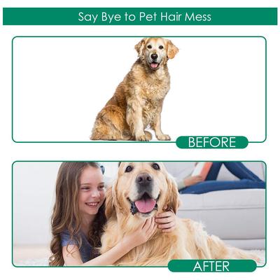 DELOMO Dog, Cat Horse & Small Pet Grooming Glove, Green - Chewy.com