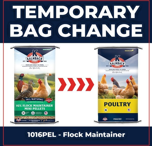 KALMBACH FEEDS All Natural 16% Protein Flock Maintainer Pellet Poultry ...
