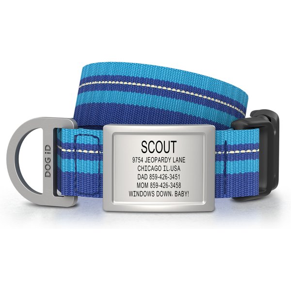 Out of Stock - DOG ID The Rock Solid Personalized ID Tag Dog Collar ...