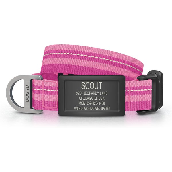 DOG ID Personalized Stainless Steel Dog ID Tag & Collar, Pink, Small ...