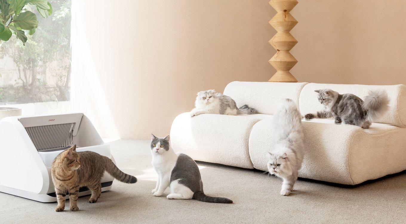 POPUR X5 Robot Automatic Cat Litter Box - Chewy.com