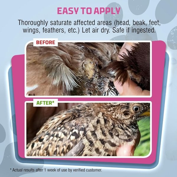 PETSILVER Chicken & Bird Wound Spray, 12-oz bottle - Chewy.com