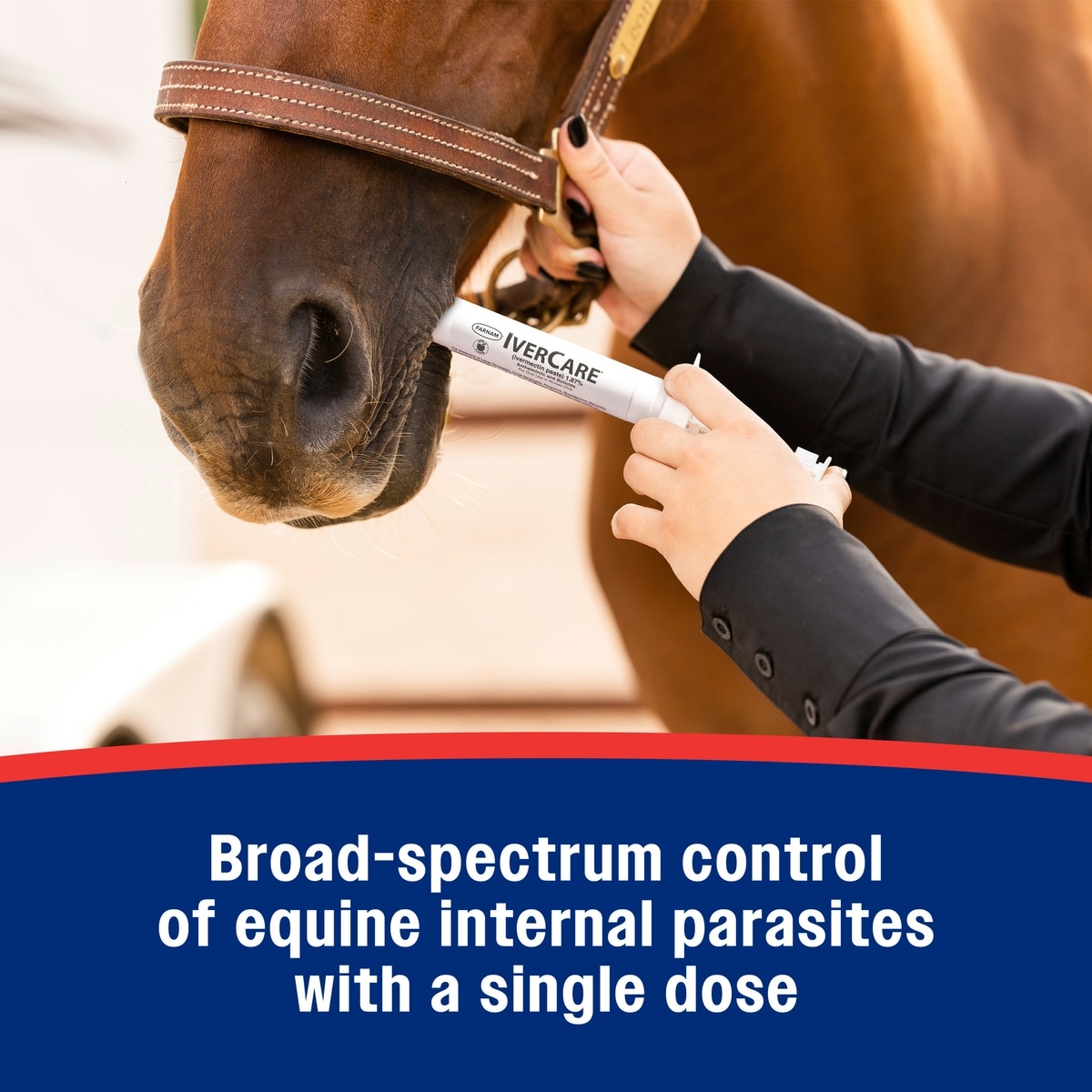 FARNAM Ivercare Ivermectin 1.87% Paste Horse Dewormer, Apple Flavor, 0. ...