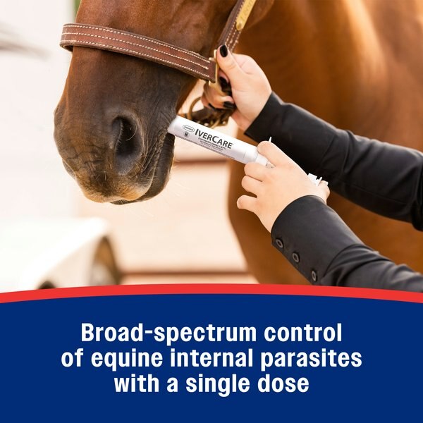 FARNAM Ivercare Ivermectin 1.87% Paste Horse Dewormer, Apple Flavor, 0. ...