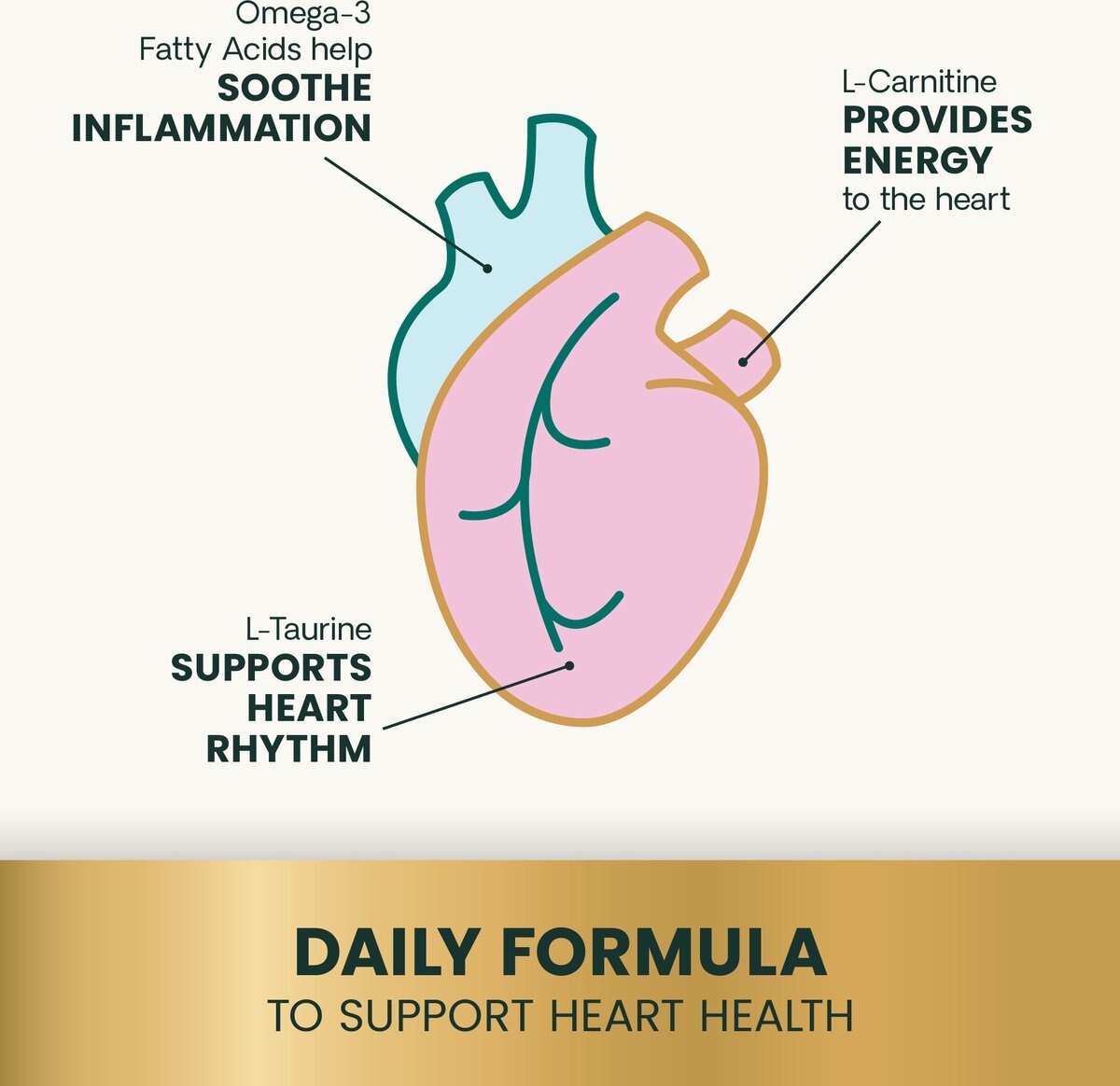 VETRISCIENCE Cardio Strength Capsules Heart Supplement for Cats & Dogs ...