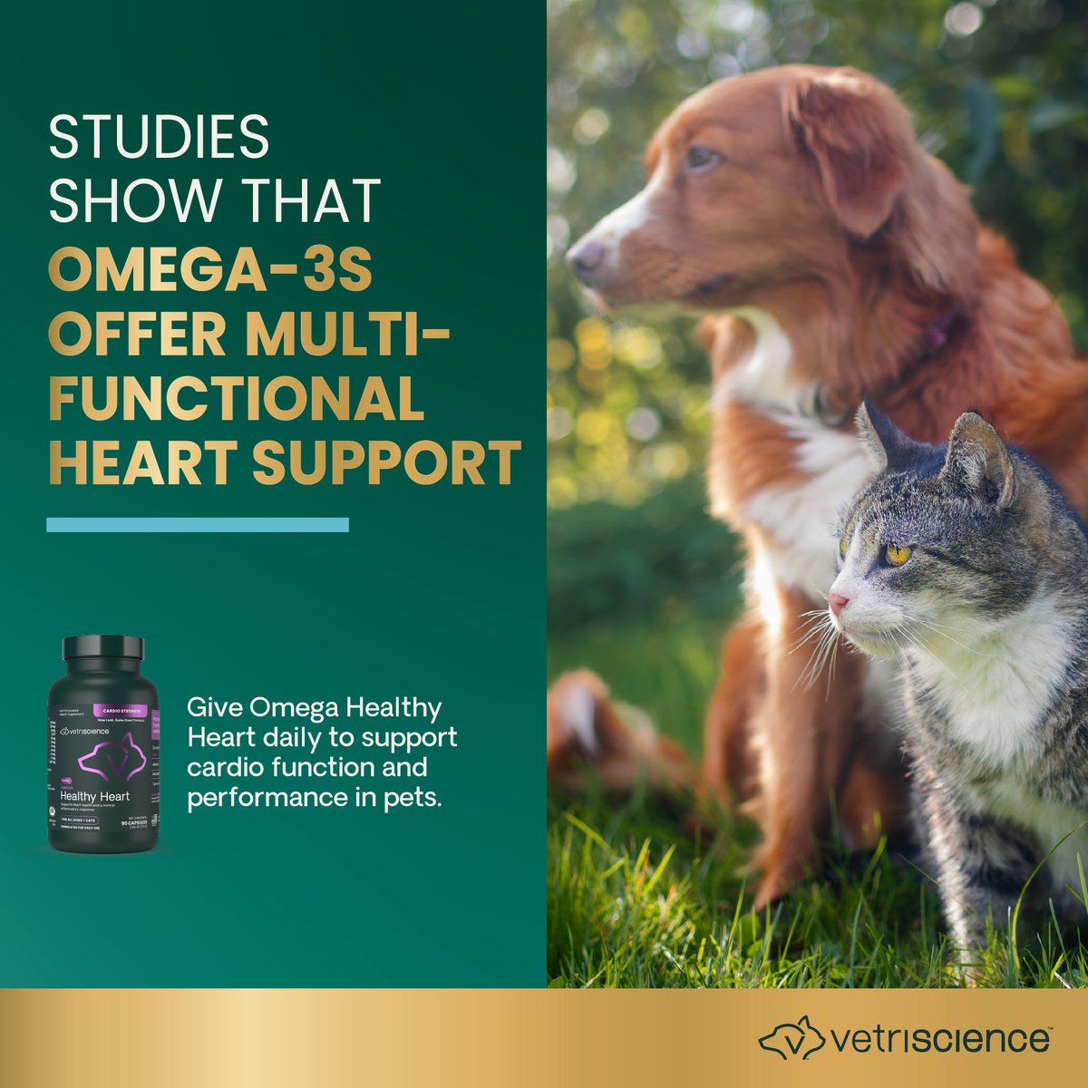 VETRISCIENCE Cardio Strength Capsules Heart Supplement for Cats & Dogs ...