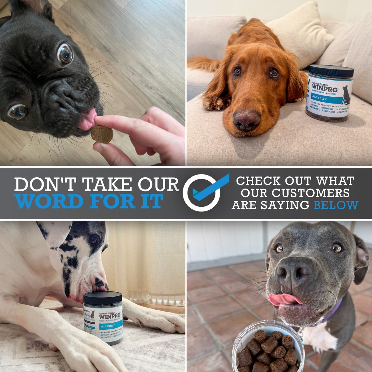 WINPRO PET Allergy Soft Chew Dog Supplement, 60 count - Chewy.com