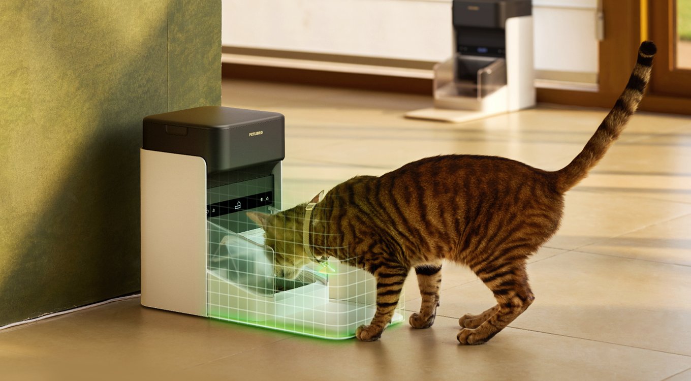 PETLIBRO One RFID Automatic Cat Feeder with Collar Tag, 3-L, Coffee, 2 ...