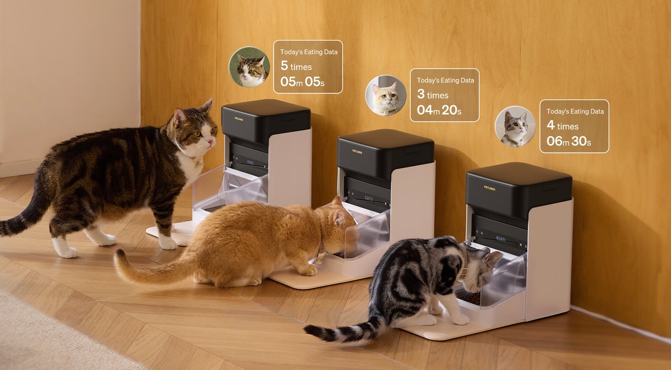 PETLIBRO One RFID Automatic Cat Feeder with Collar Tag, 3-L, Coffee, 2 ...