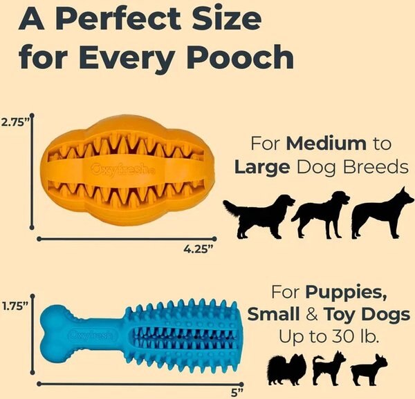 OXYFRESH Natural Rubber Dog Dental Chew Toy, Teal, Small - Chewy.com