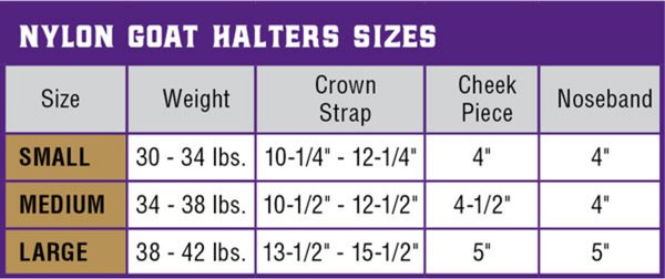 WEAVER LIVESTOCK Nylon Goat Halter, Hurr Blue, Large - Chewy.com