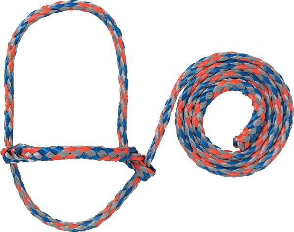 WEAVER LIVESTOCK Polyester Rope Sheep & Goat Halter, Blue/Orange/Gray ...