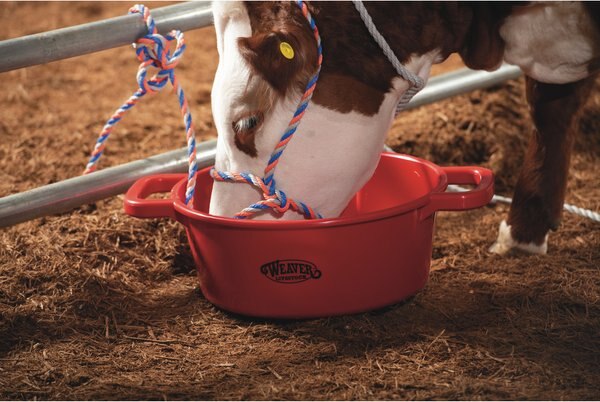 WEAVER LIVESTOCK Round Feed Pan, 22-qt, Red - Chewy.com
