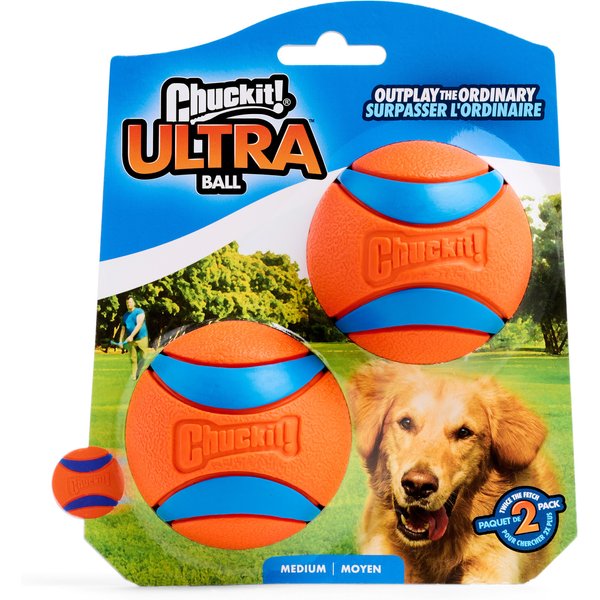 10 Best Dog Chew Toys 2025: According to Reviews | Chewy