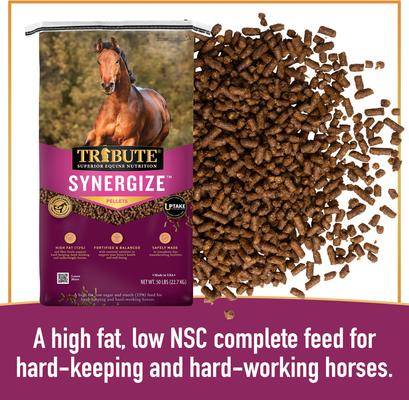 TRIBUTE EQUINE NUTRITION Synergize High Fat Low Sugar & Starch Horse Feed, 50-lb bag - Chewy.com